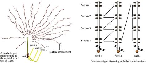 Schematic Surface And Borehole Microseismic Survey Layouts Download