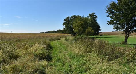 More Riparian Buffer Strips Can Protect Waterways