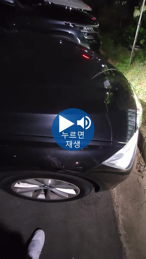 남자는 디젤이 맞다 자동차 에펨코리아