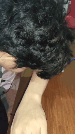 Sassa Gurl Hoy Baliw Kayo Pinaiyak Nyo Na Naman Si Sassa GIF Sassa Gurl Hoy Baliw Kayo