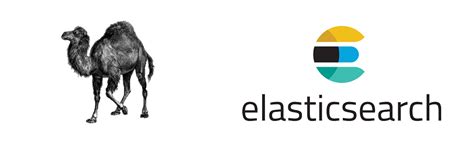 Elasticsearch Client Programming Perl