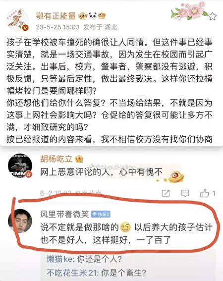 武汉学生被撞死 其母坠亡 官方将祸因指向网暴 武汉市 汉阳区 弘桥小学 大纪元