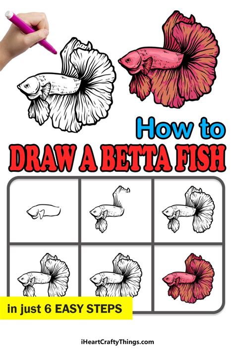 Betta Fish Drawing How To Draw A Betta Fish Step By Step