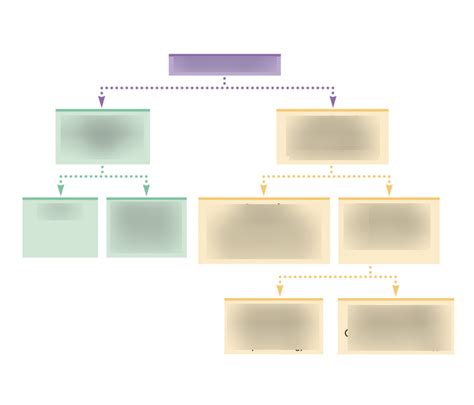 Nervous System Diagram Diagram Quizlet