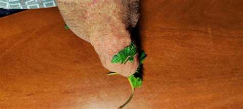 More Nettle 11 Pics Xhamster