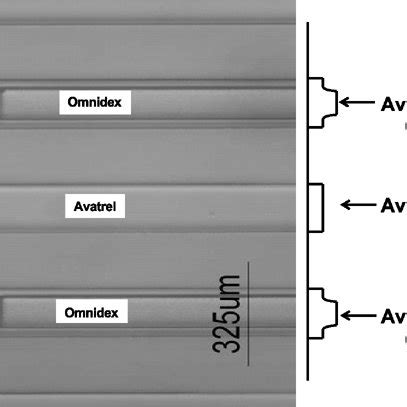Optical Waveguide Coupler Structures A Two Material Download