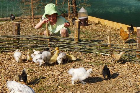 Kontaktná zoo – Svet okolo nás