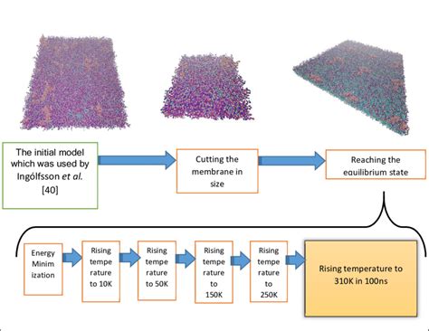 Preparing The Membrane For The Coarse Grained Simulation Download Scientific Diagram