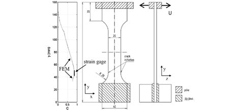 Geometry Of The Specimen And The Plot Of Loading Factor C Y Download Scientific Diagram