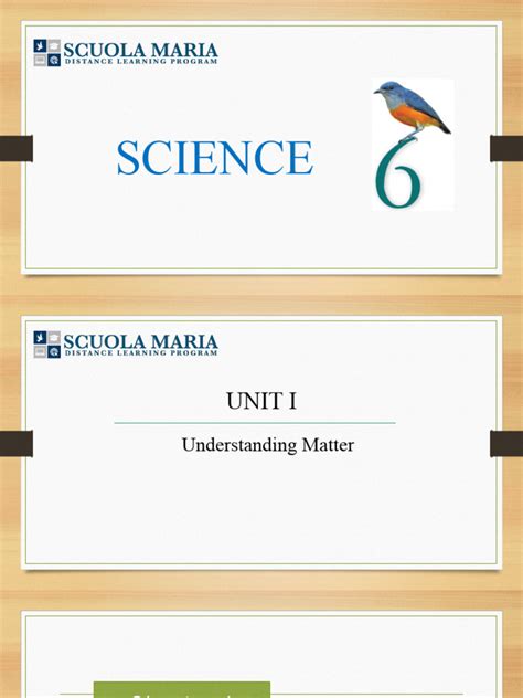 sci6 lesson 1 3 measuring pdf