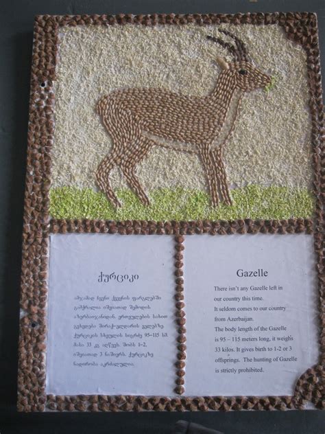 პროექტები წითელი წიგნი