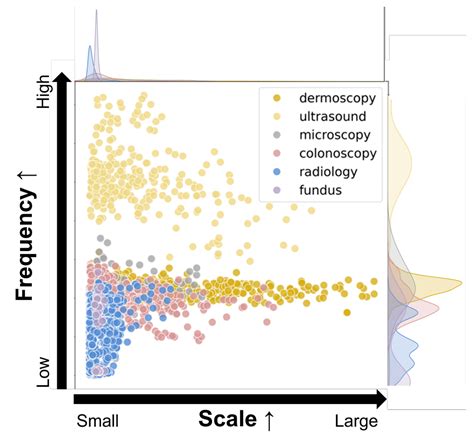 【cvpr2024】generalizable Medical Image Segmentation By Multi Frequency In Multi Scale Attention 知乎