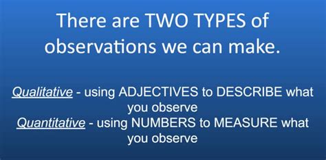 Observation Vs Inference Science Activity By Kbug Garden Of Learning