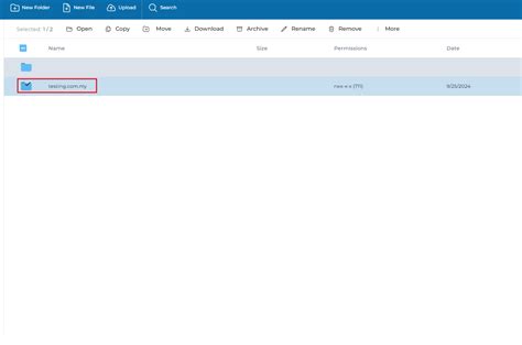 Accessing Website Files Using Directadmin Evolution Skin Ipserverone