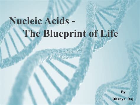 Biochemistry Lecture Notes Nucleic Acids Pdf