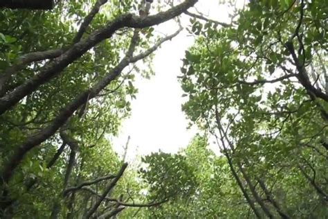 Abp 341 プレステージ夏祭 2015 南国スポコス汗だくsex4本番！ あやみ旬果 Post1 無料av動画