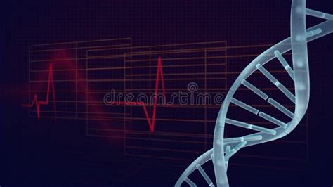 Animation Of Dna Structure Spinning Over Heart Rate Monitor Against Blue Background Stock
