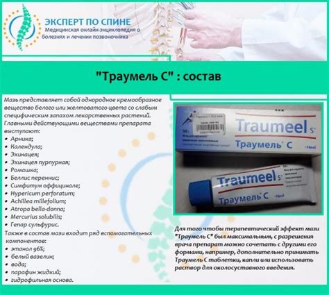 Обезболивающие мази для спины: виды, состав, применение