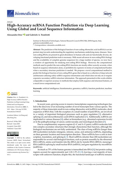 PDF High Accuracy NcRNA Function Prediction Via Deep Learning Using Global And Local Sequence