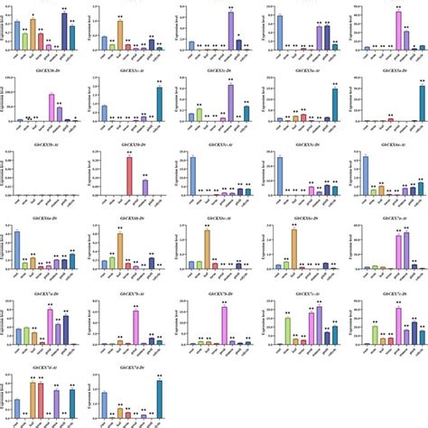 Expression Of Ghckxs In Different Tissues Different Tissues Were
