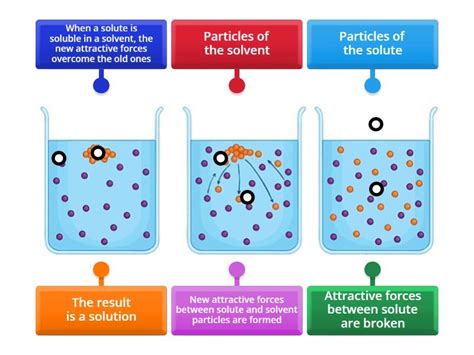 The Process Of Dissolving Labelled Diagram