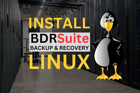 How To Install Bdrsuite On Linux Using Terminal Tech With Jasmin