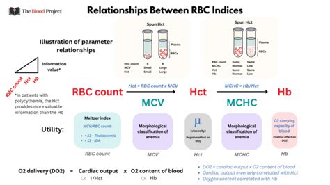 Relationship Between Rbc Indices • The Blood Project