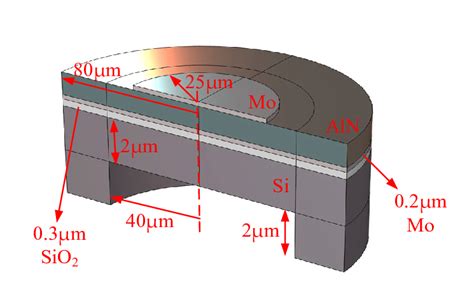 Illustration Of A Symmetrical Section Of The Pmut 3d Model Download Scientific Diagram