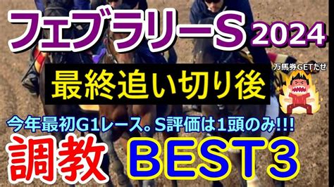 【フェブラリーステークス2024】調教best3 人気はルメールさん騎乗のオメガギネスだが、断トツに良く見えたのがガイアフォース。初ダートで