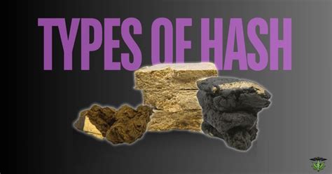 15 Different Types Of Hash Explained All You Need To Know