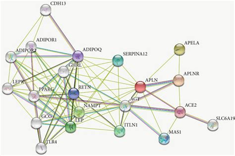 Interaction Network Of Apln A Gene Gene Interaction Network For Apln Download Scientific