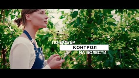 Ревиона Новият фунгицид за лозя и овощни Youtube