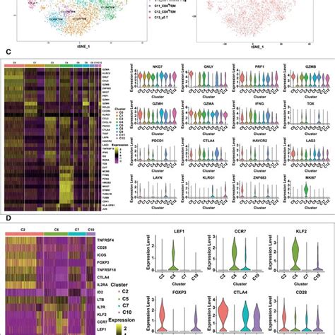 Heterogeneity Of Cd8⁺ And Cd4⁺ T Cells In Normal Tissue A The Download Scientific Diagram
