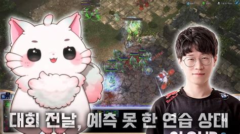 대회 전날🥲 스타크래프트 Ii 공허의 유산 Youtube