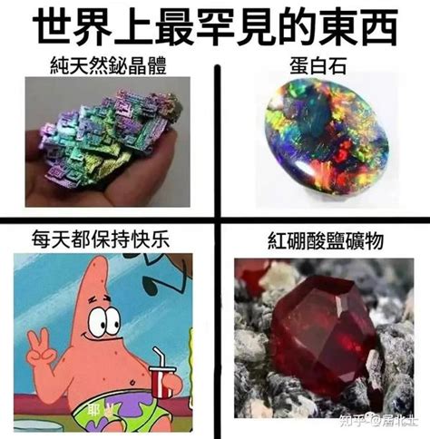 《随机漫步的傻瓜》书评2 知乎
