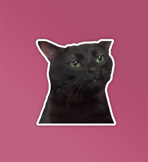Black Cat Meme Laptop And Mobile Stickers Peeekaboo