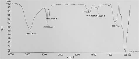 Ftir Spectra Of The Mgo Nanoparticles Download Scientific Diagram