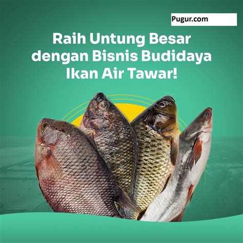 Arti Angka Dan Kode Pada Label Pestisida Pugur