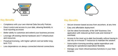 What Is Sap Business One Sap B1 Sap B1 Implementation Cost