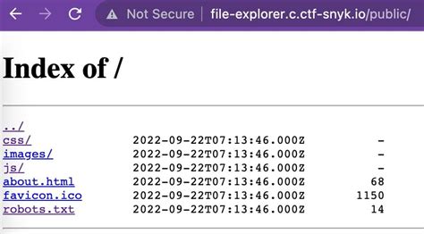 Fetch The Flag Ctf 2022 Writeup File Explorer Snyk