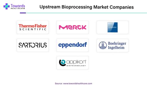 Upstream Bioprocessing Market Leads 14 34 Cagr By 2034