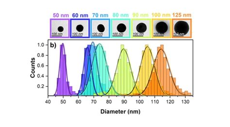 Nanoparticle Functionalization And Characterization Services Mecwins