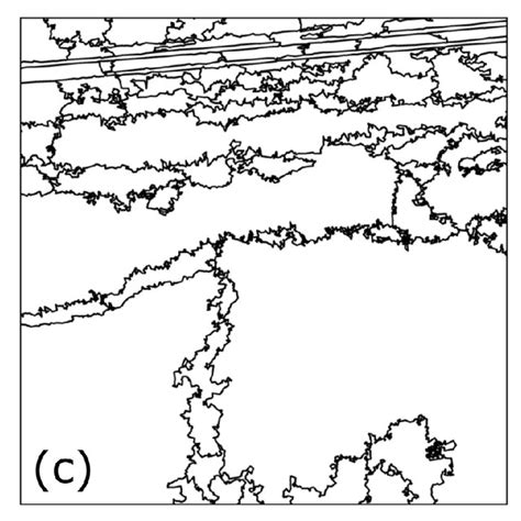 Workflow Example Of Image Annotation From One Selected Ground Truth