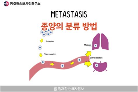 종양의 형태학적 분류와 질병분류 코드 네이버 블로그