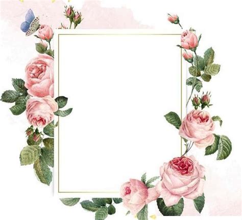 عکس سفید خالی برای نوشتن متن