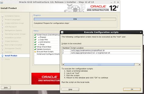 Installing Oracle 12c R1 Grid Infrastructure On Linux 6 Oraclenext Solution To Your Oracle