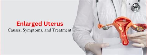Enlarged Uterus Causes Symptoms And Treatment Imprimis IVF
