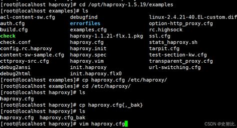Haporxy搭建web集群 Csdn博客