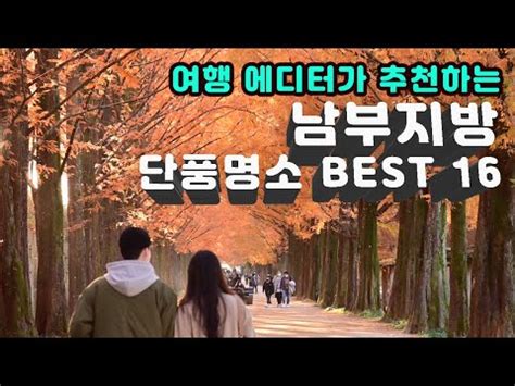 남부지방 BEST 단풍명소 16곳 단풍시기 영상투어 선운사 덕유산 지리산 뱀사골 피아골 백무동 계곡 백양사 강진만 순천만