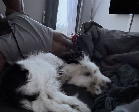 Max Konnor On Twitter Iamtabuu Hes Right Up Under Daddy Https T Co Sykpf Dgfc Twitter